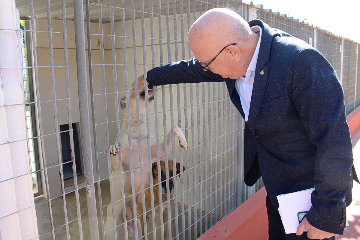 El concejal de Sanidad supervisa el estado de las instalaciones del ...