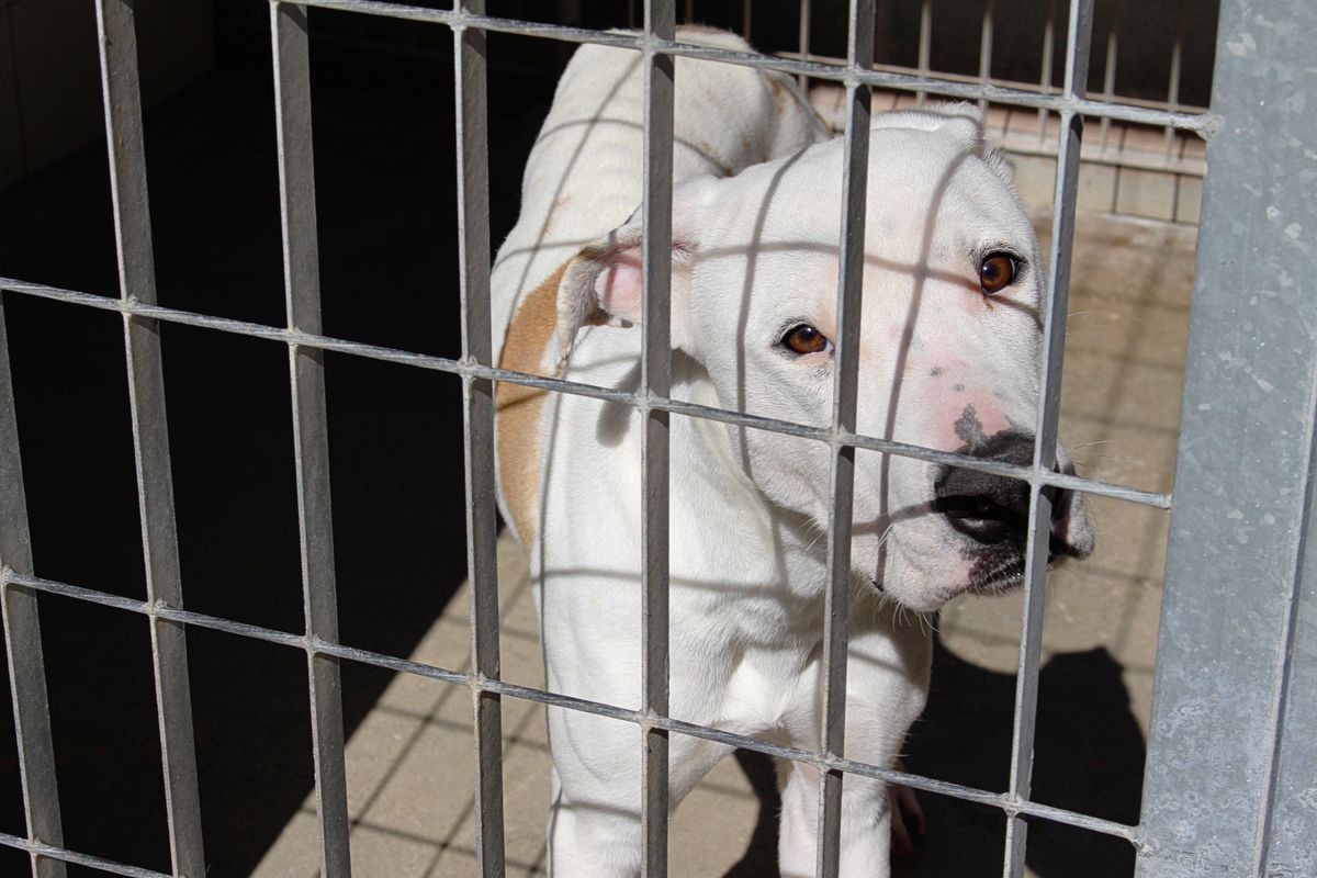 El concejal de Sanidad supervisa el estado de las instalaciones del ...