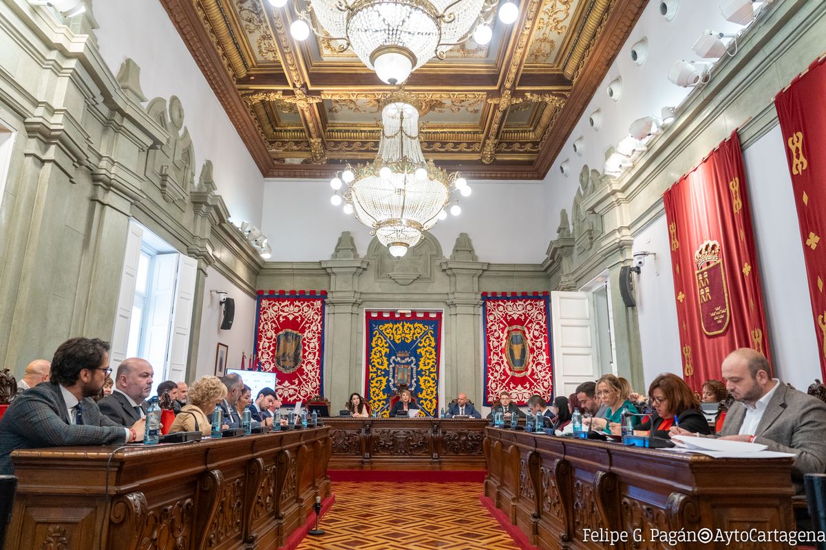 El Pleno Muestra Su Rechazo A La Ley De Amnistía Y Ratifica Su Adhesión