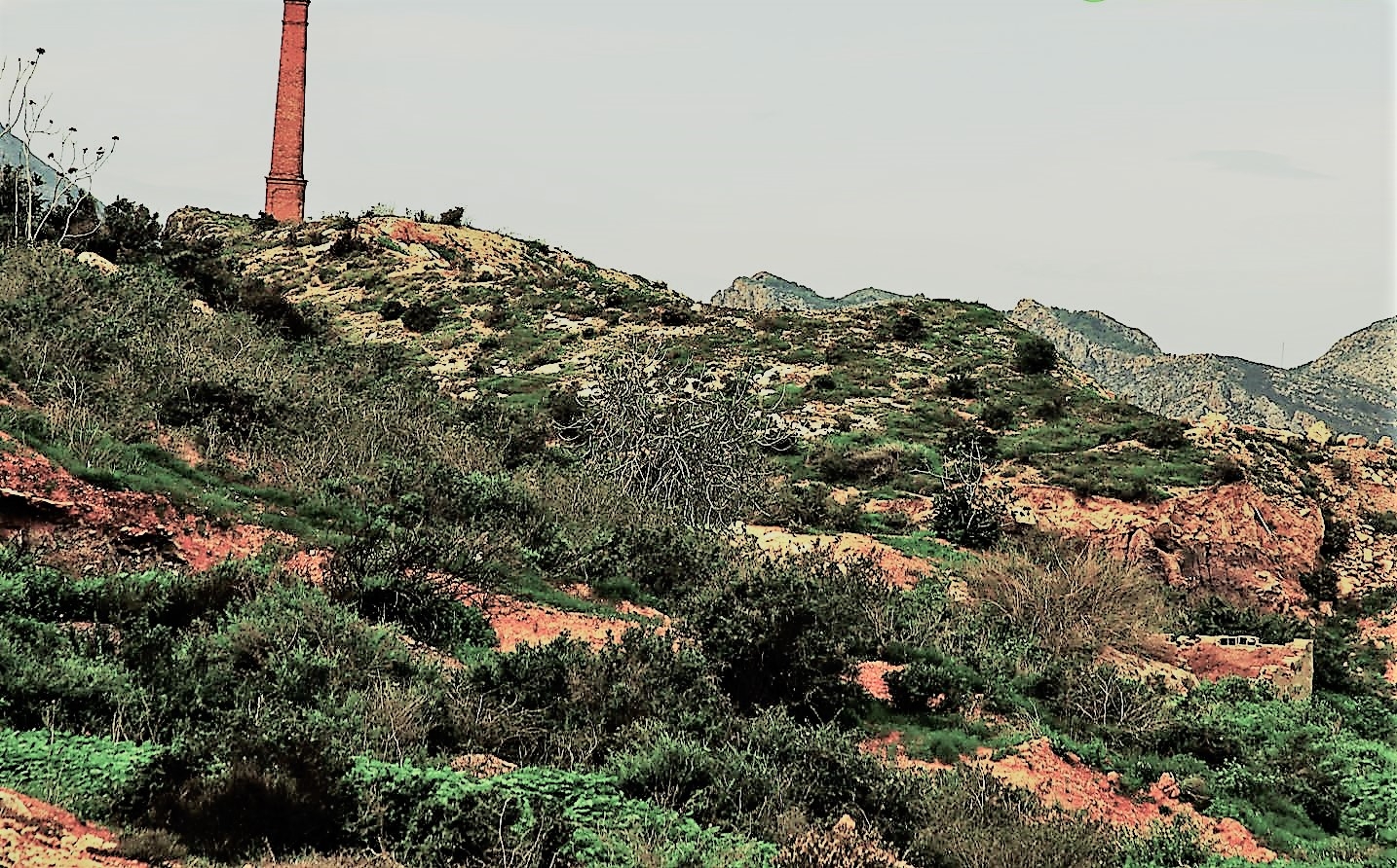CTSSP denuncia la grave situación de los montes cercanos a Lo Campano y ...